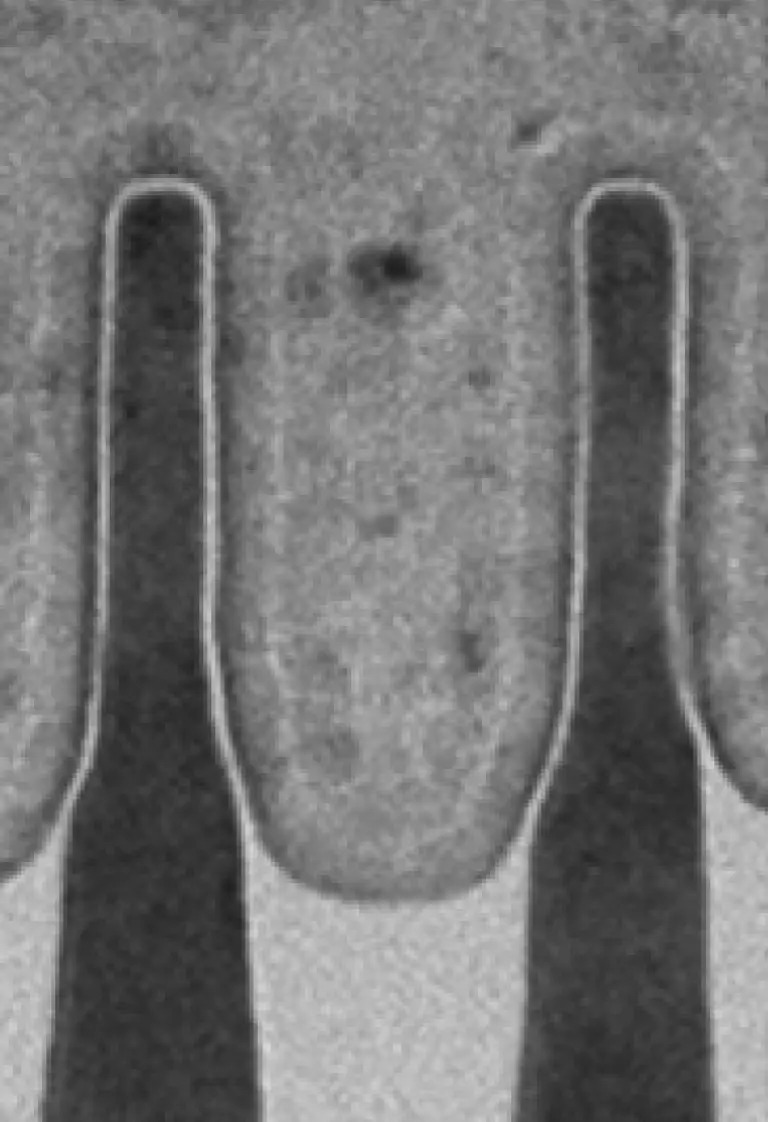 WikiChip – WikiChip Fuse